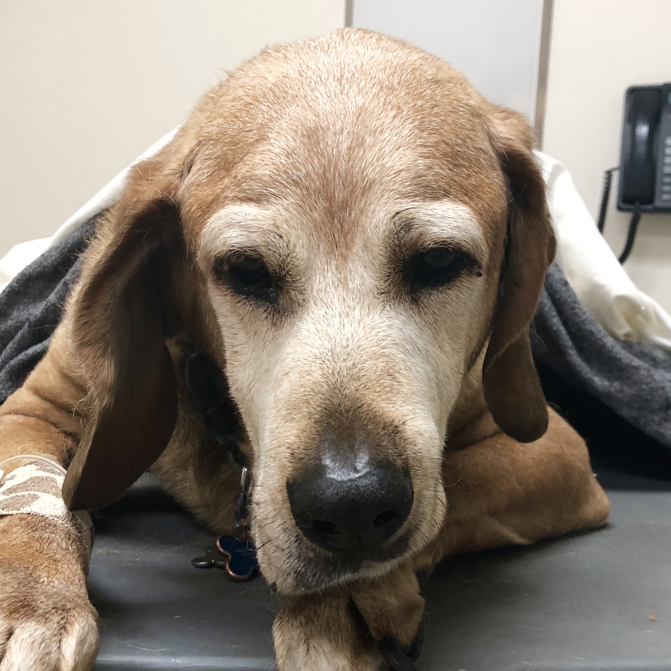 Mr. Ranger Sir – Stories about hope